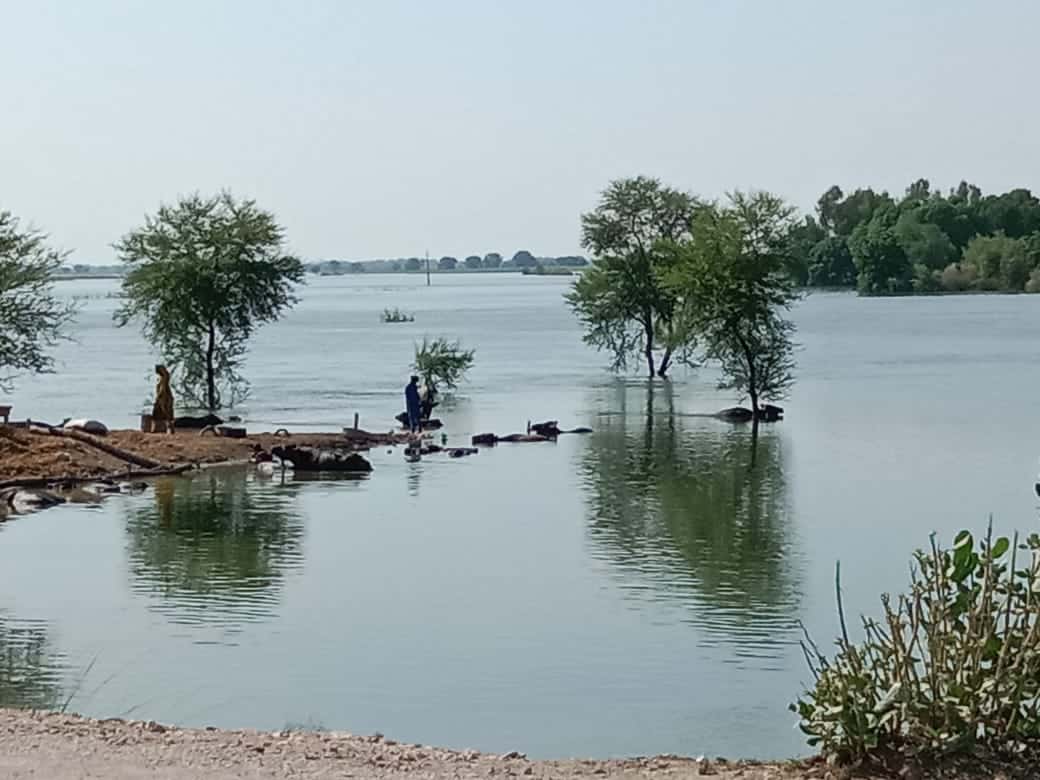 ADRA Launches Emergency Operations to Help Victims in Pakistan | ADRA ...