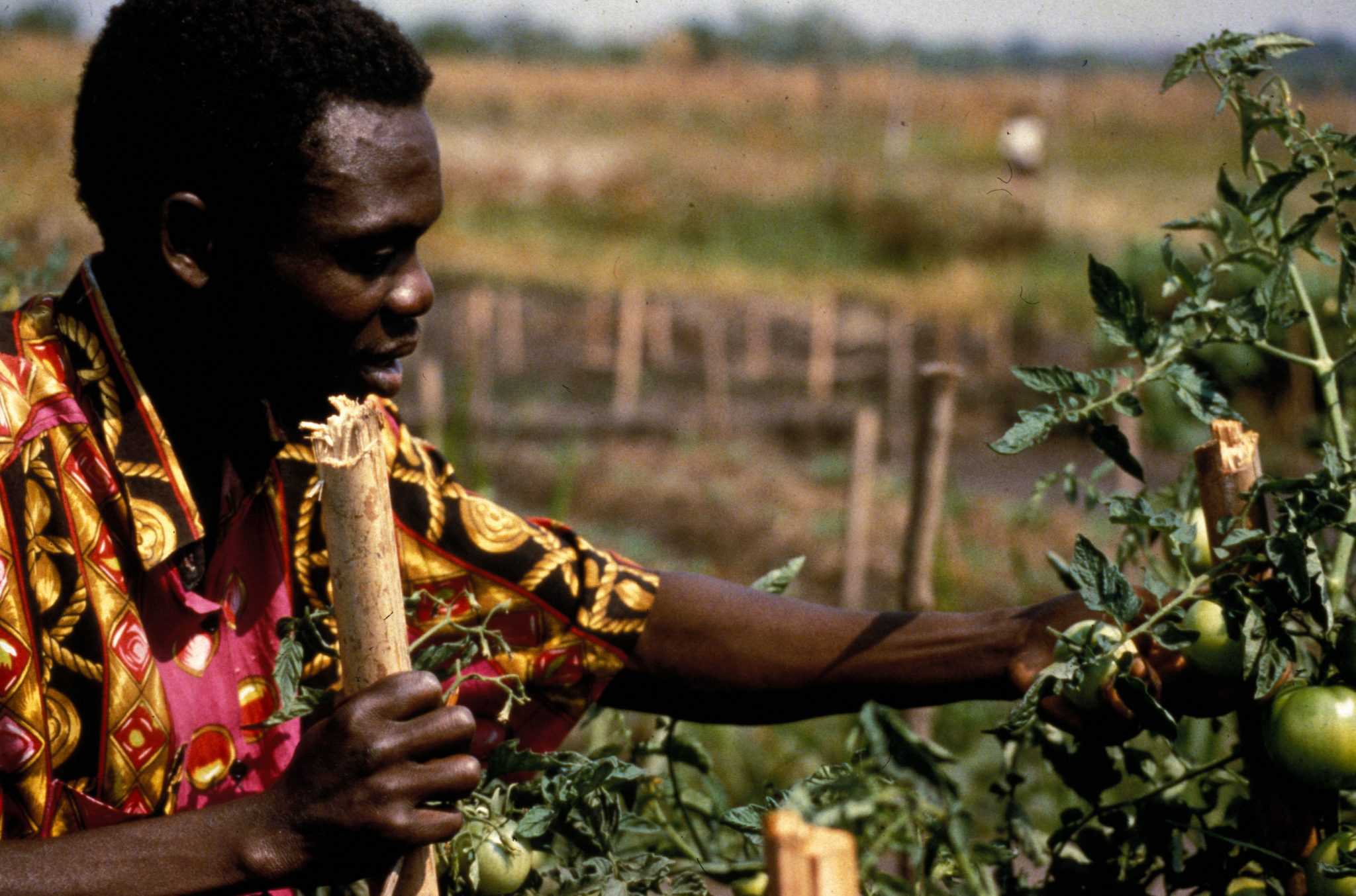 ADRA to Lead US$105 Million USAID Resilience Food Project for ...