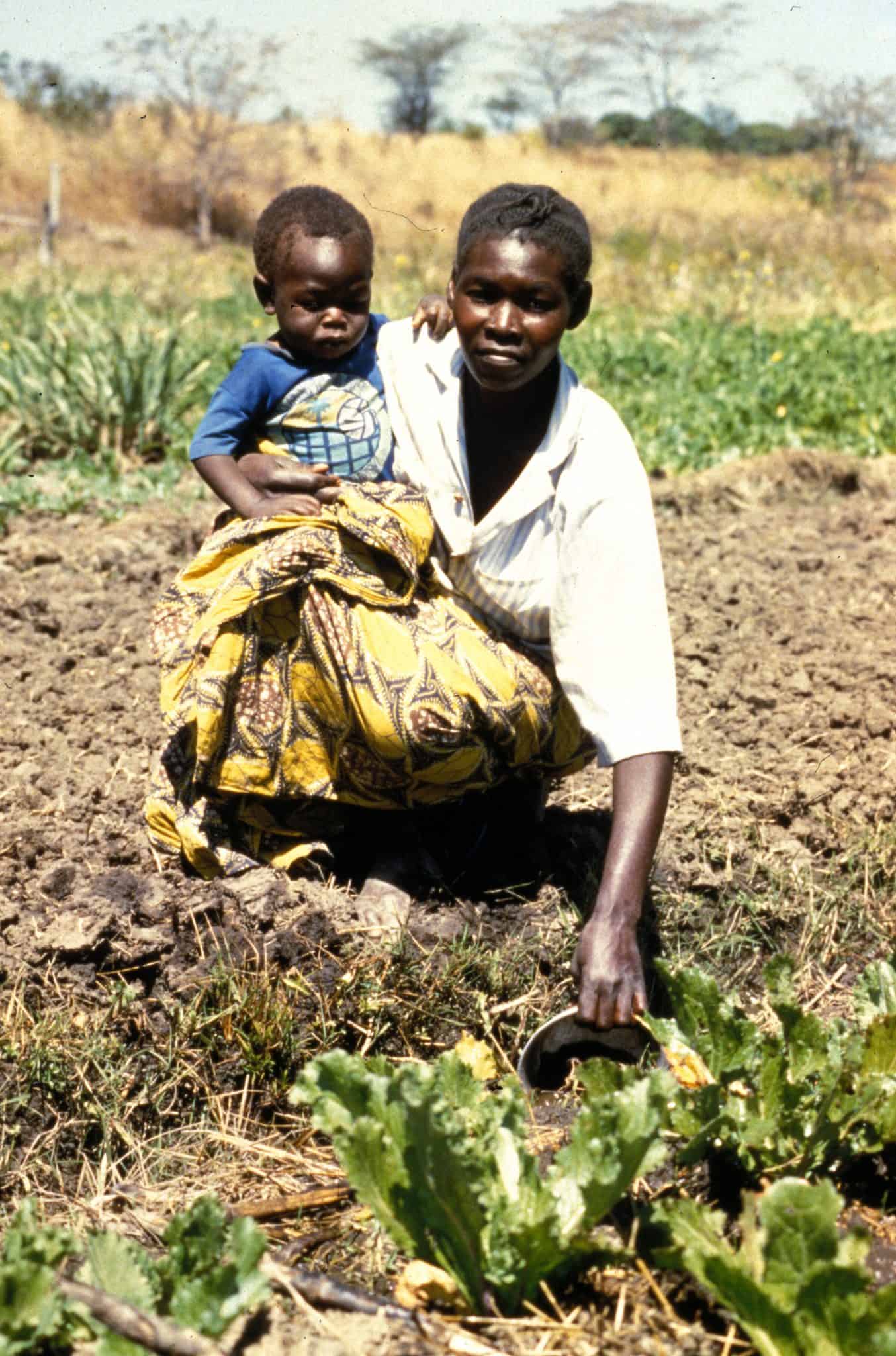 ADRA to Lead US$105 Million USAID Resilience Food Project for ...