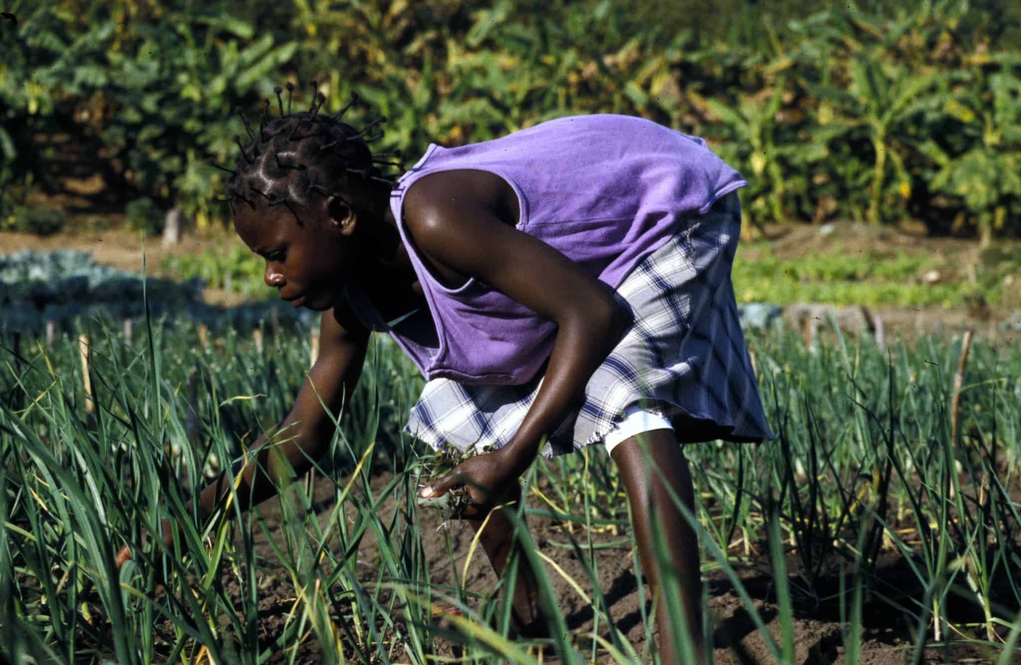 ADRA to Lead US$105 Million USAID Resilience Food Project for ...